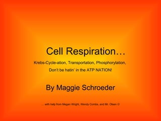 Cellular Respiration and Photosynthesis | PPT