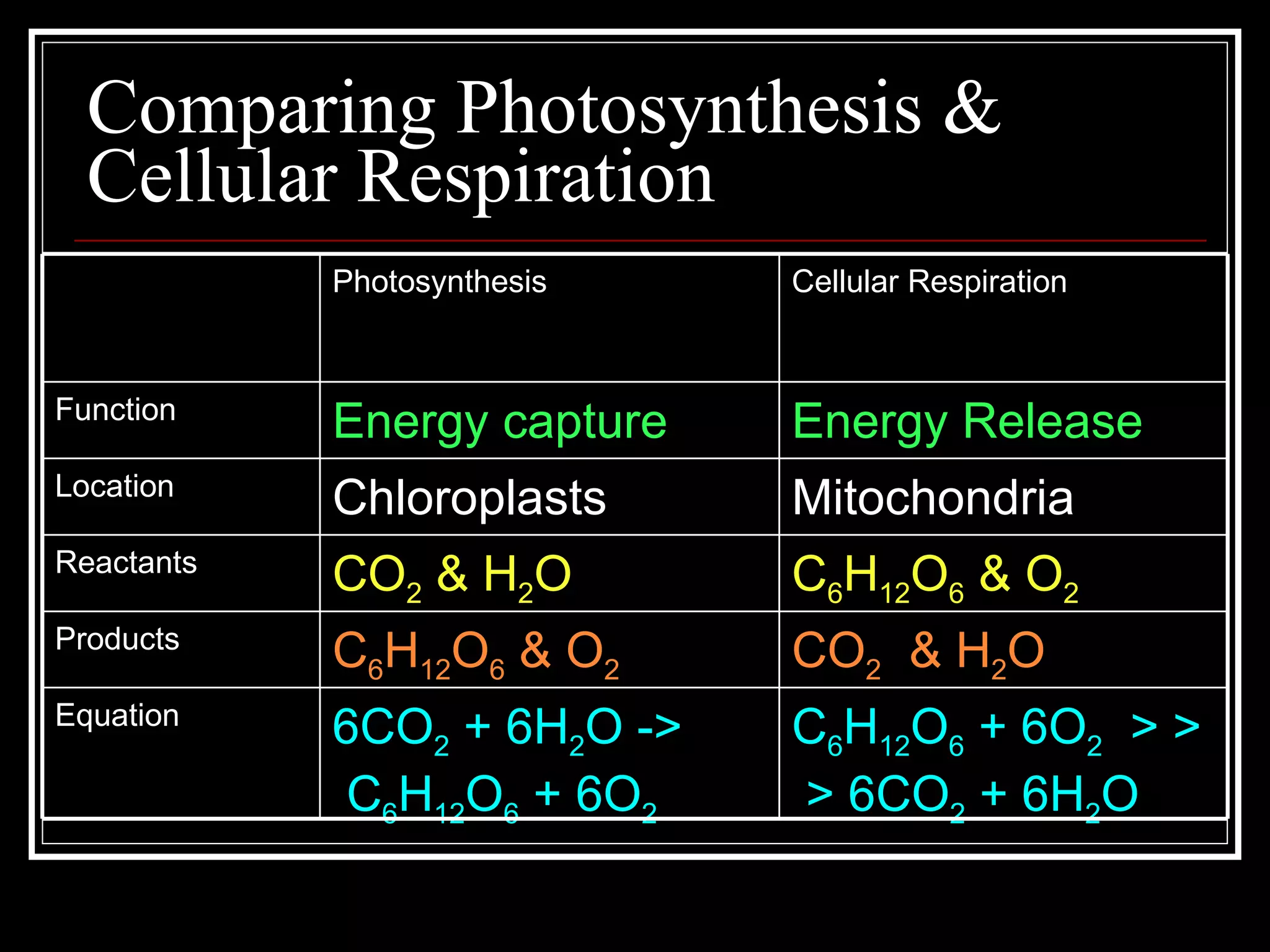 Cell respiration | PPT