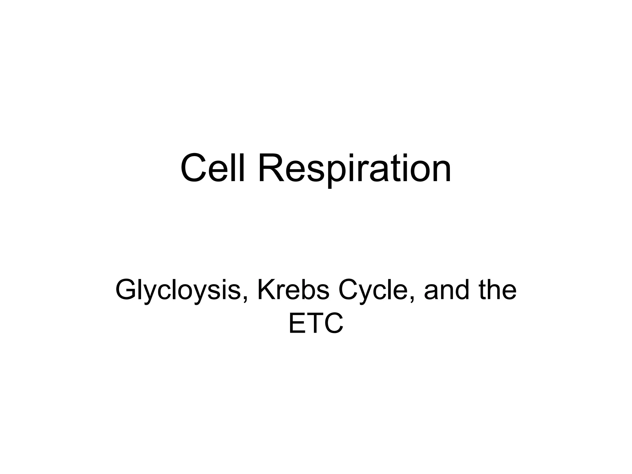 Cell_Respiration.ppt