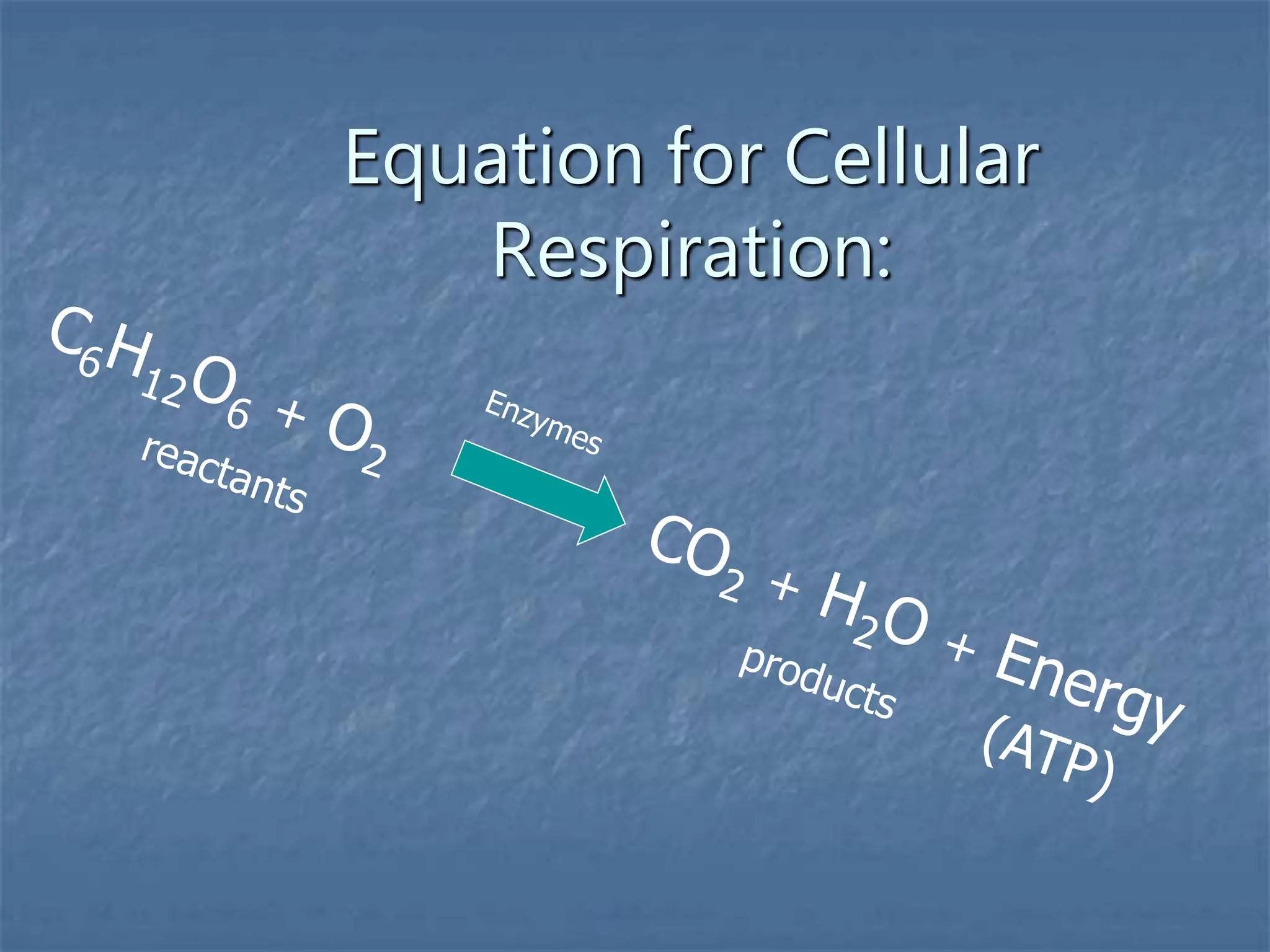 Cell_Respiration_SUMMARY LESSON GRADE NINE | PPT