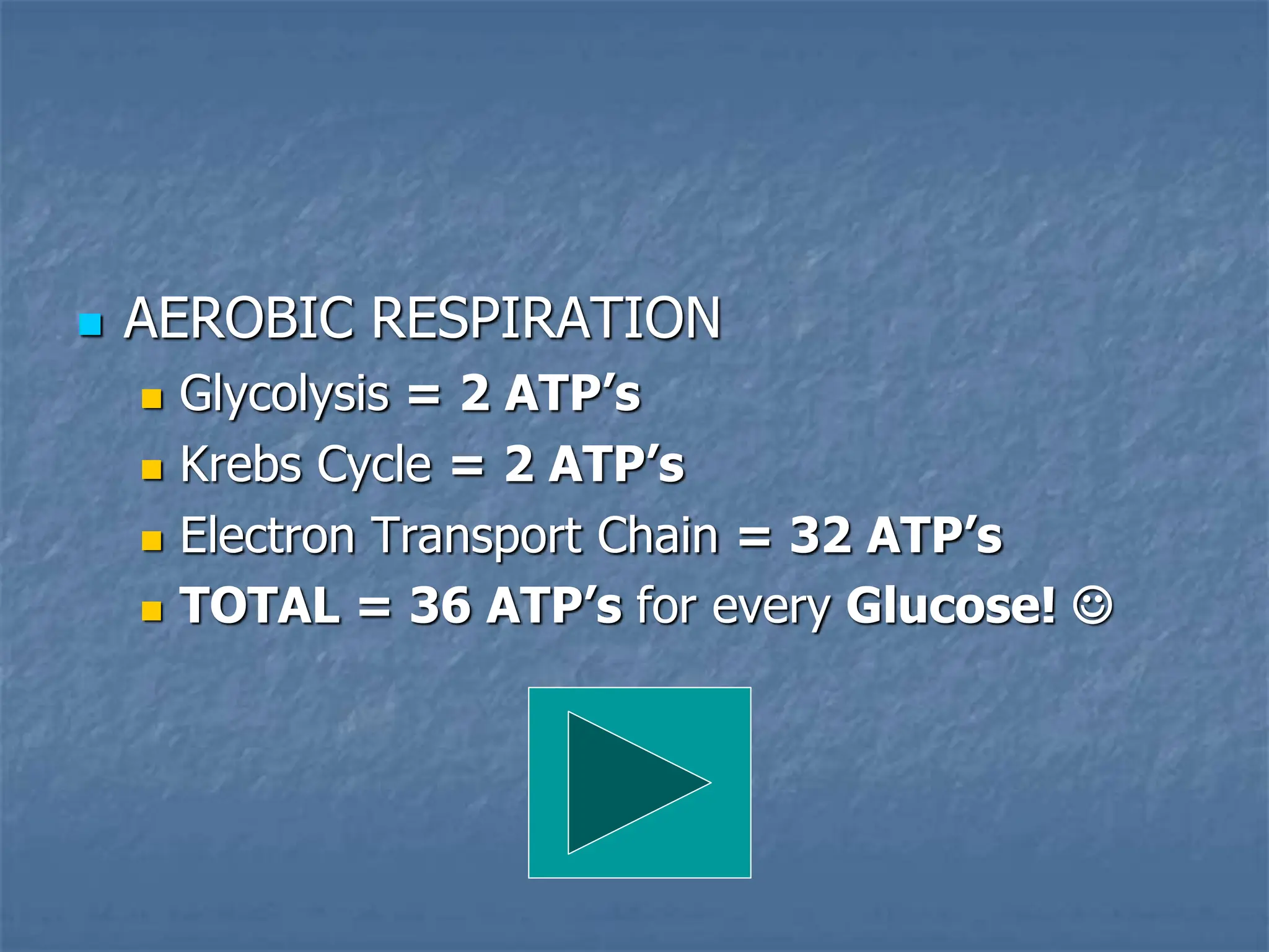 Cell_Respiration_SUMMARY LESSON GRADE NINE | PPT