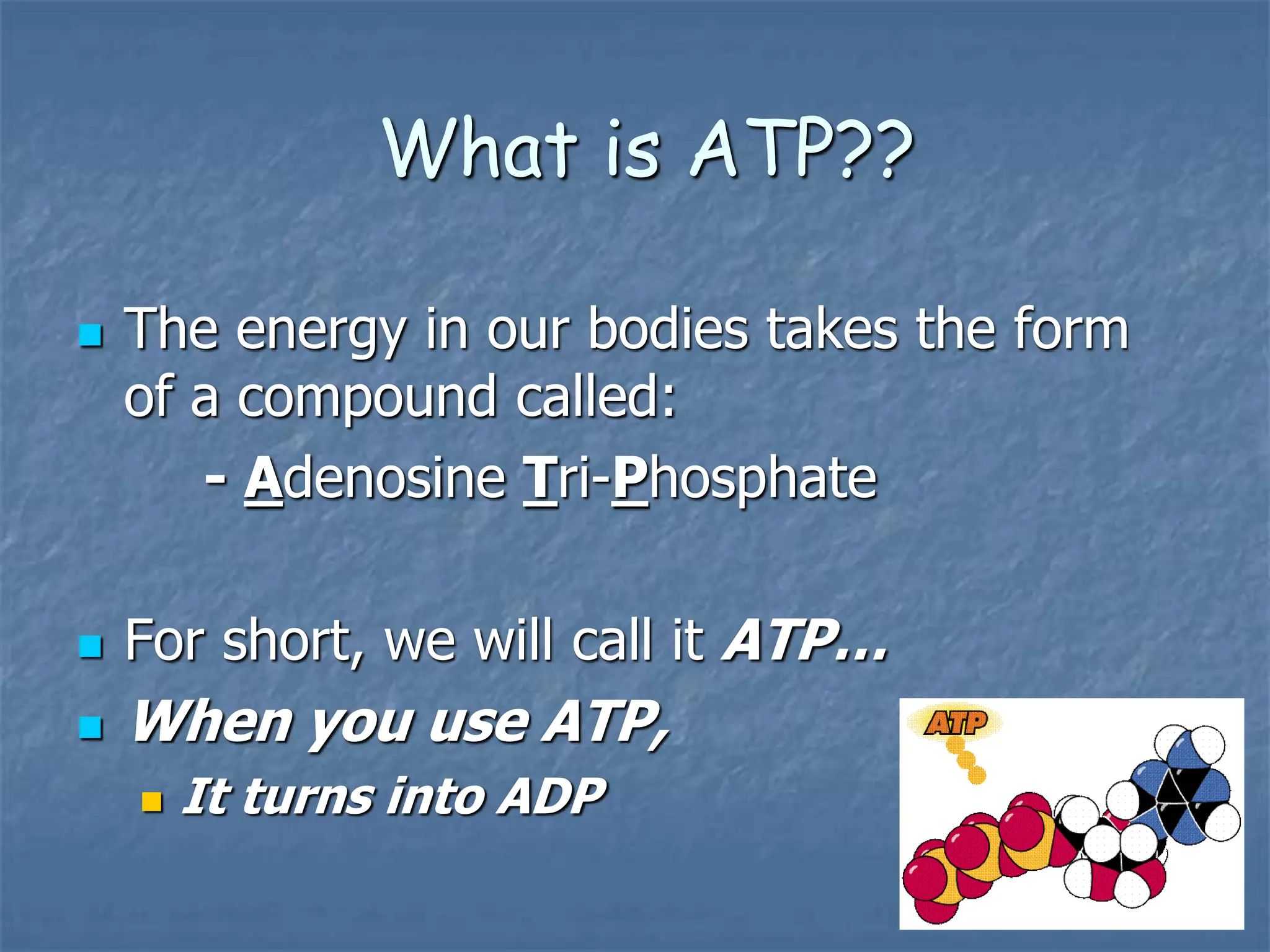 Cell_Respiration_SUMMARY LESSON GRADE NINE | PPT
