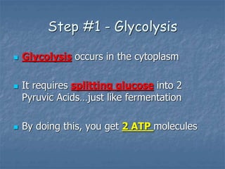 Cell_Respiration_SUMMARY LESSON GRADE NINE | PPT