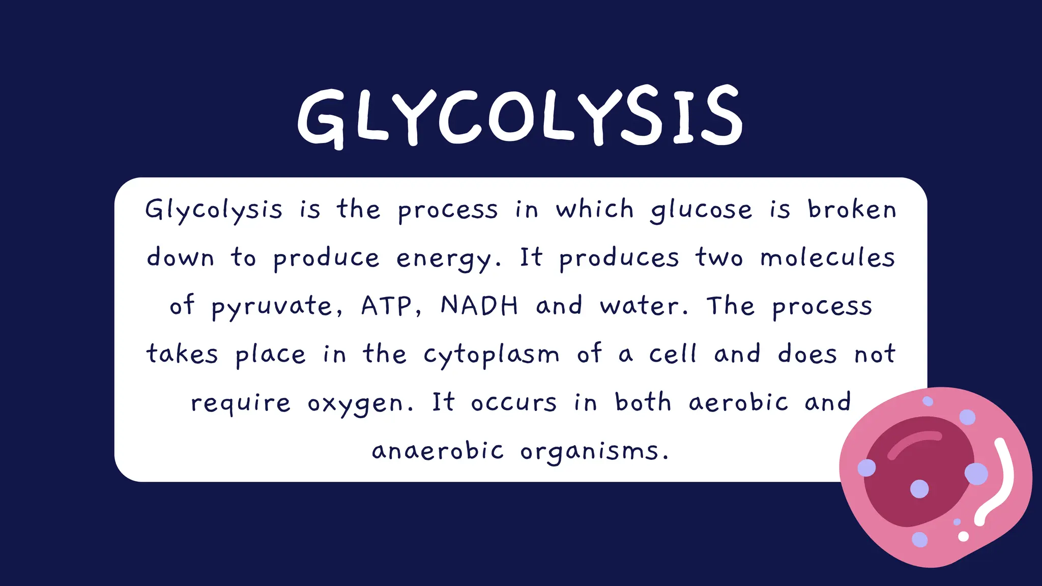 Cell Respiration Presentation Slides Cambridge | PPT