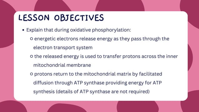 Cell Respiration Presentation Slides Cambridge | PPT
