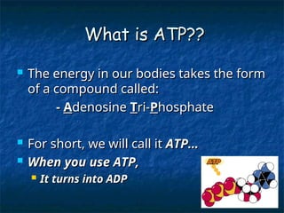 Cellular espiration including aerobic and anaerobic respiration | PPT