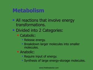 Fatmetabolism | PPT