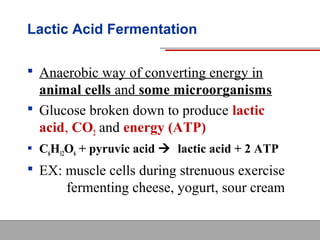 Cellular Respiration | PPT
