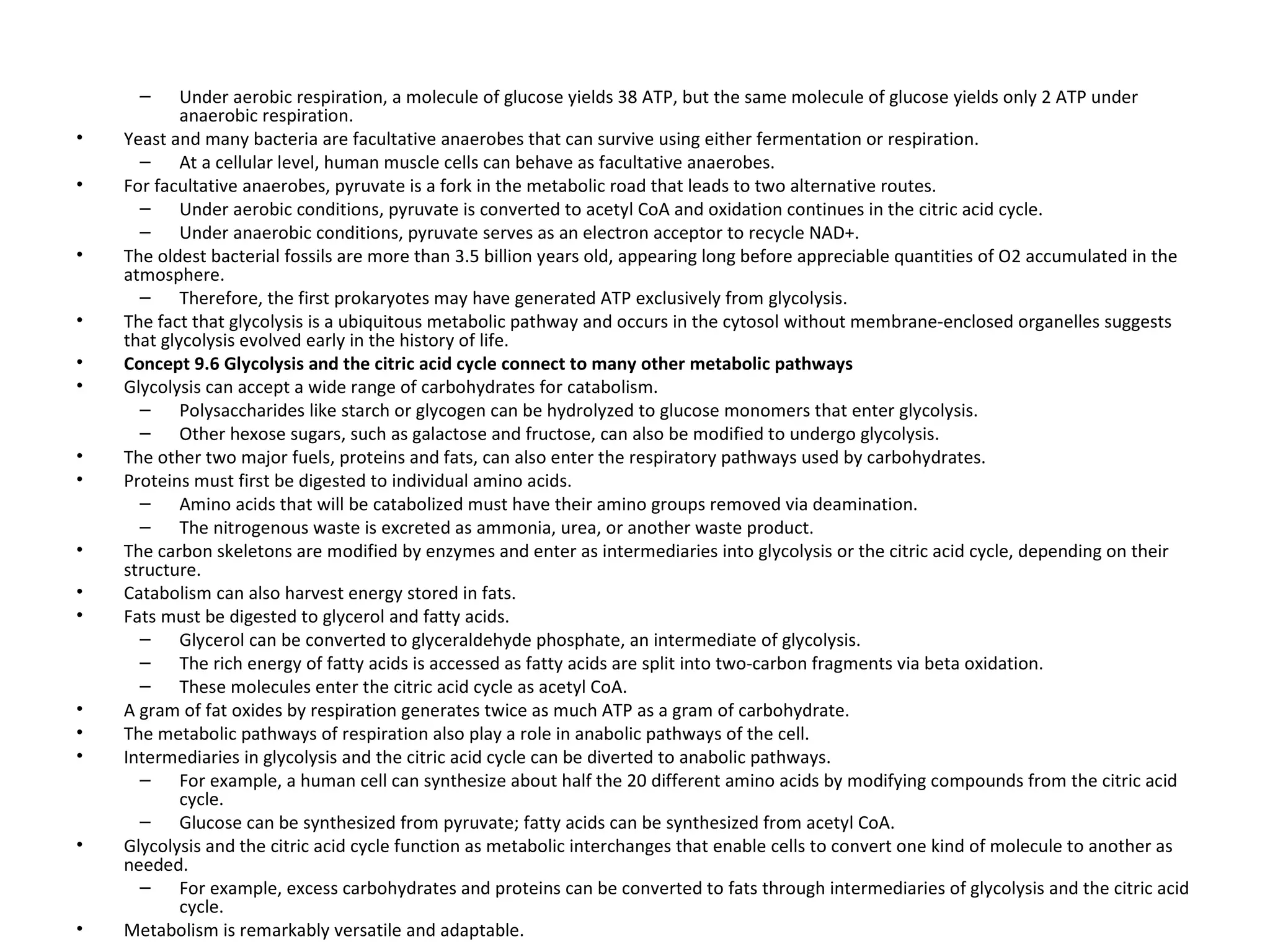 Cell Respiration Notes | PPT