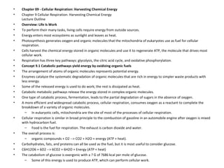 Cell Respiration Notes | PPT