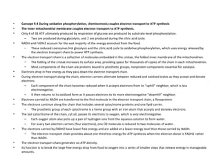 Cell Respiration Notes | PPT