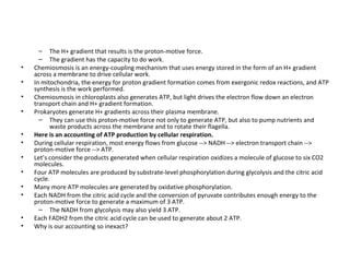 Cell Respiration Notes | PPT