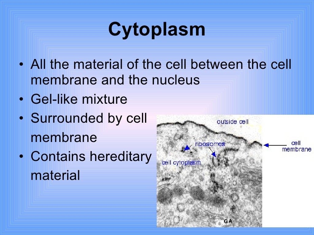 Cells cells