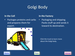 Cells | PPT