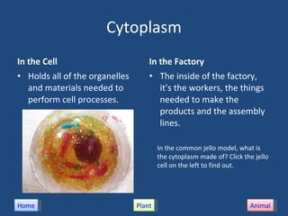 Cells | PPT