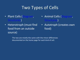 Cells | PPT