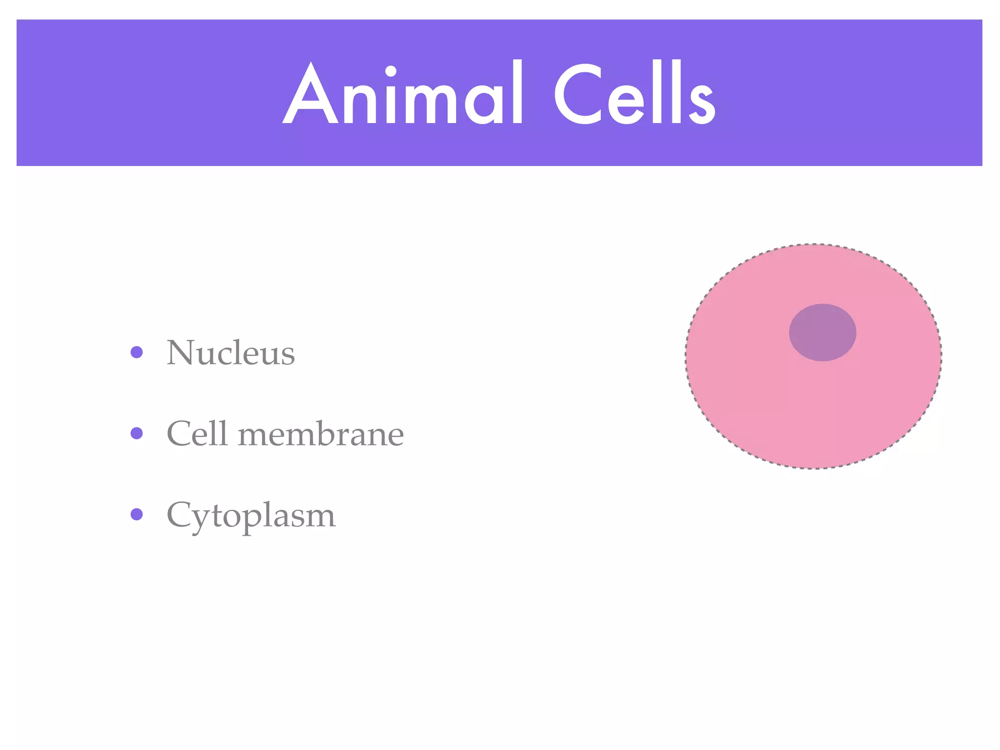 Cells | PPT