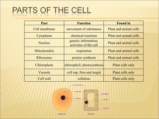 Cells