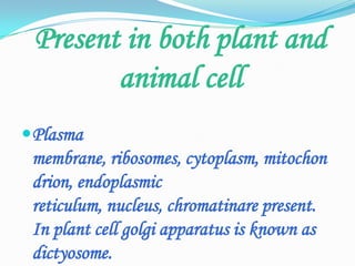 Cells | PPTX | Biological Sciences | Science