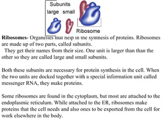 Cells | PPT