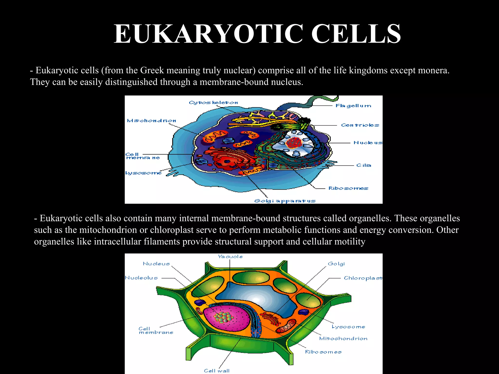 Cells | PPT