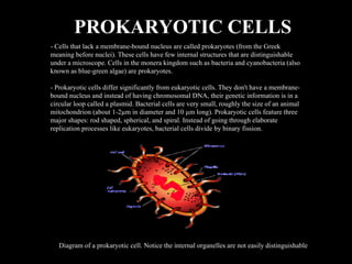 Cells | PPT
