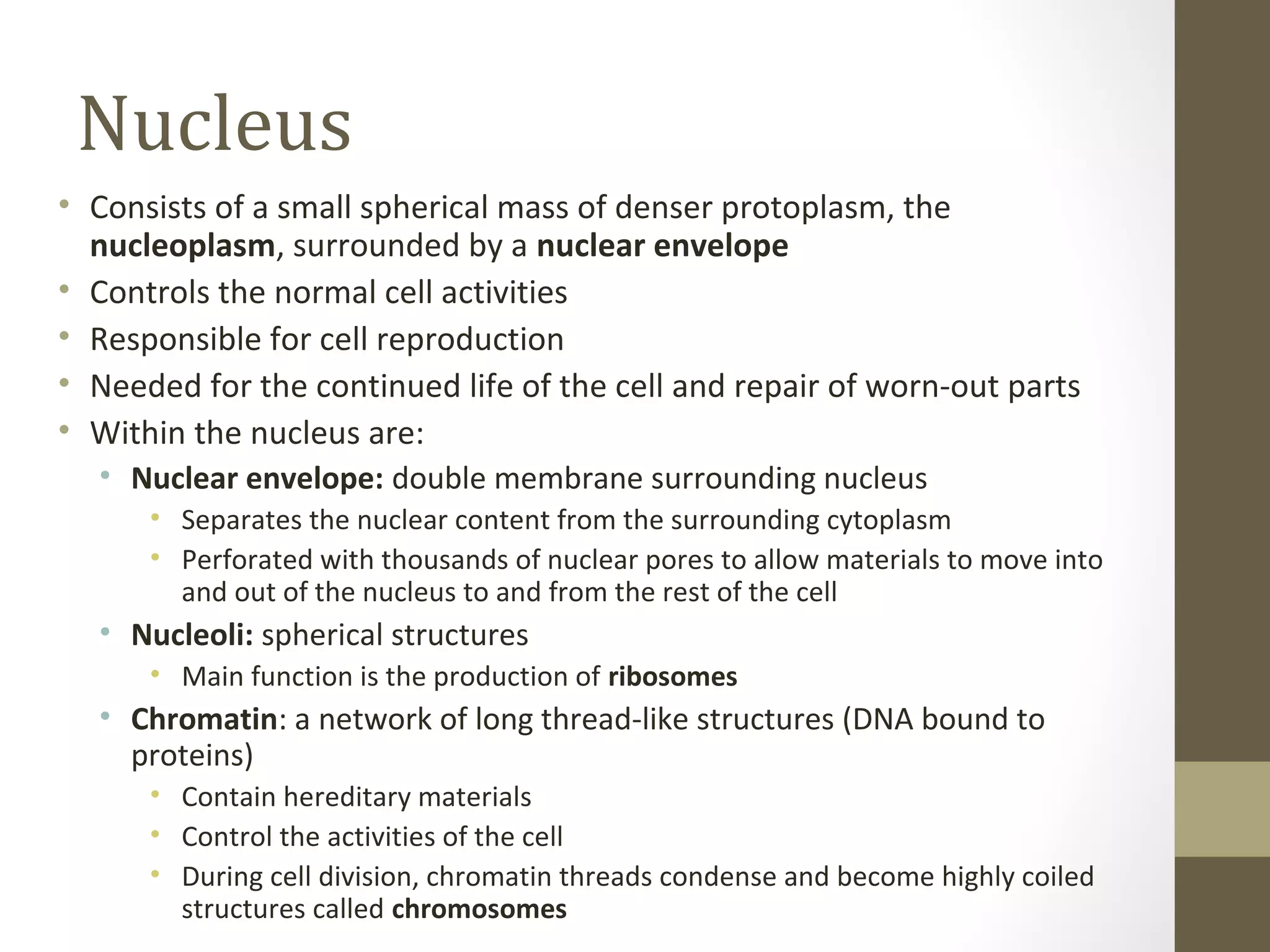 Cells ( Olevel Biology) | PPT