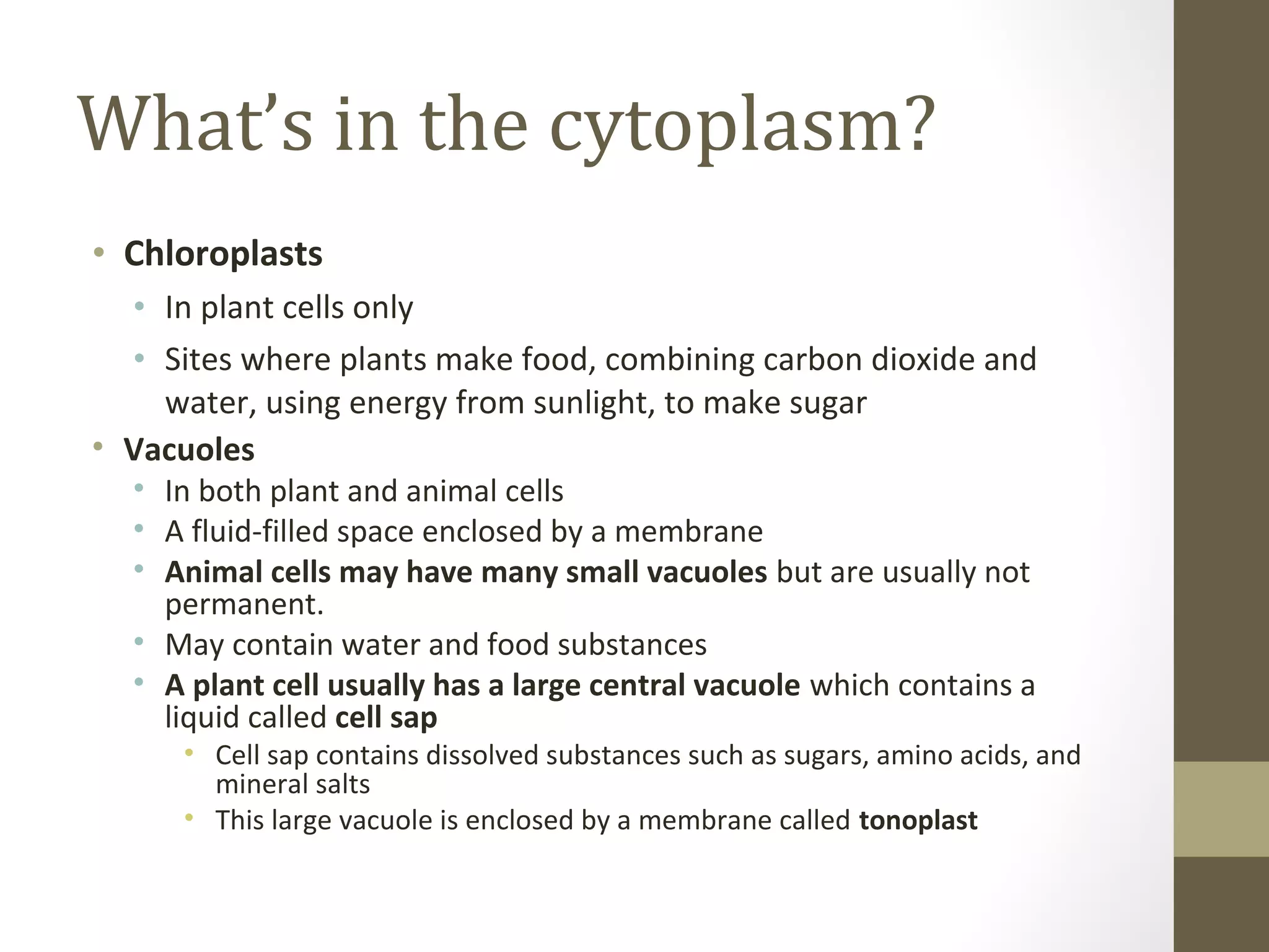 Cells ( Olevel Biology) | PPT