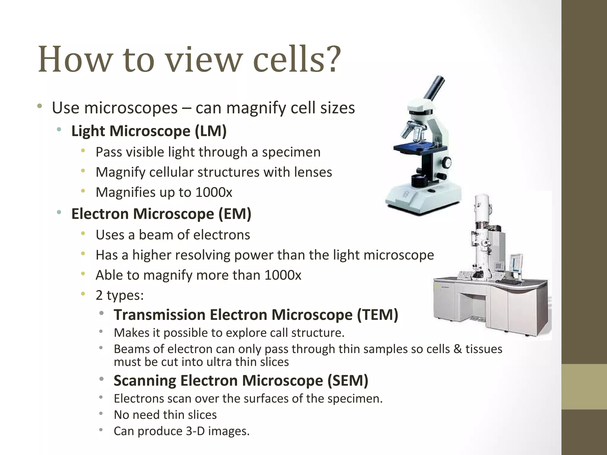 Cells ( Olevel Biology) | PPT