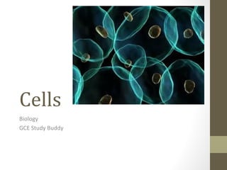 Cells ( Olevel Biology) | PPT