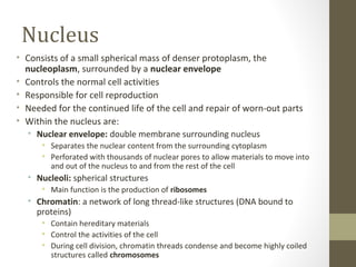 Cells ( Olevel Biology) | PPT