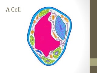 Cells ( Olevel Biology) | PPT