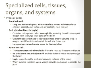 Cells ( Olevel Biology) | PPT