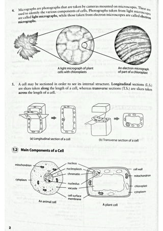 Full notes on Cells | PDF