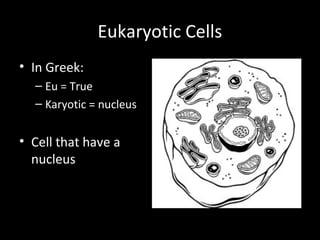Cells | PPT
