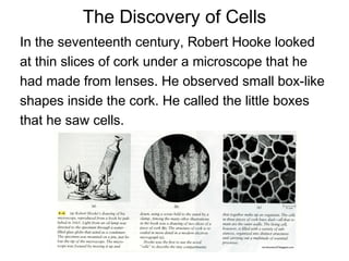 Cells | PPT