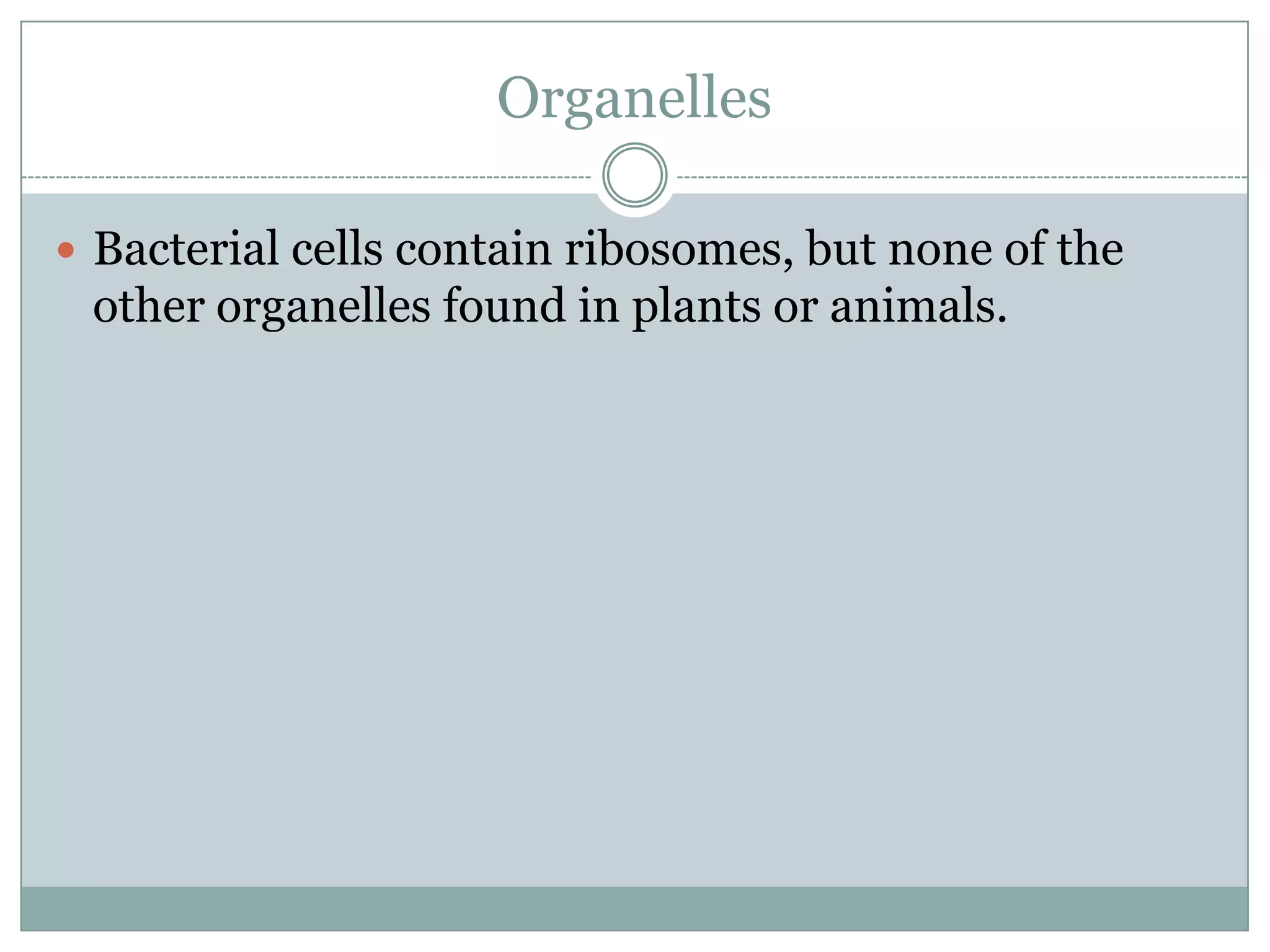 Cells | PPT