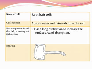 Cells | PPT