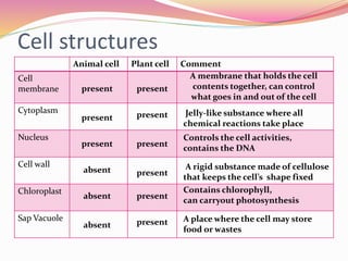 Cells | PPTX