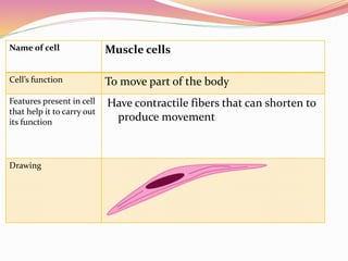 Cells | PPT