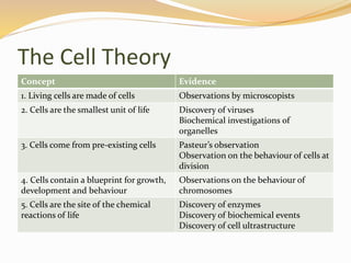 Cells | PPTX