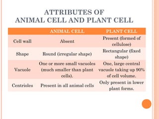 Cells | PPT