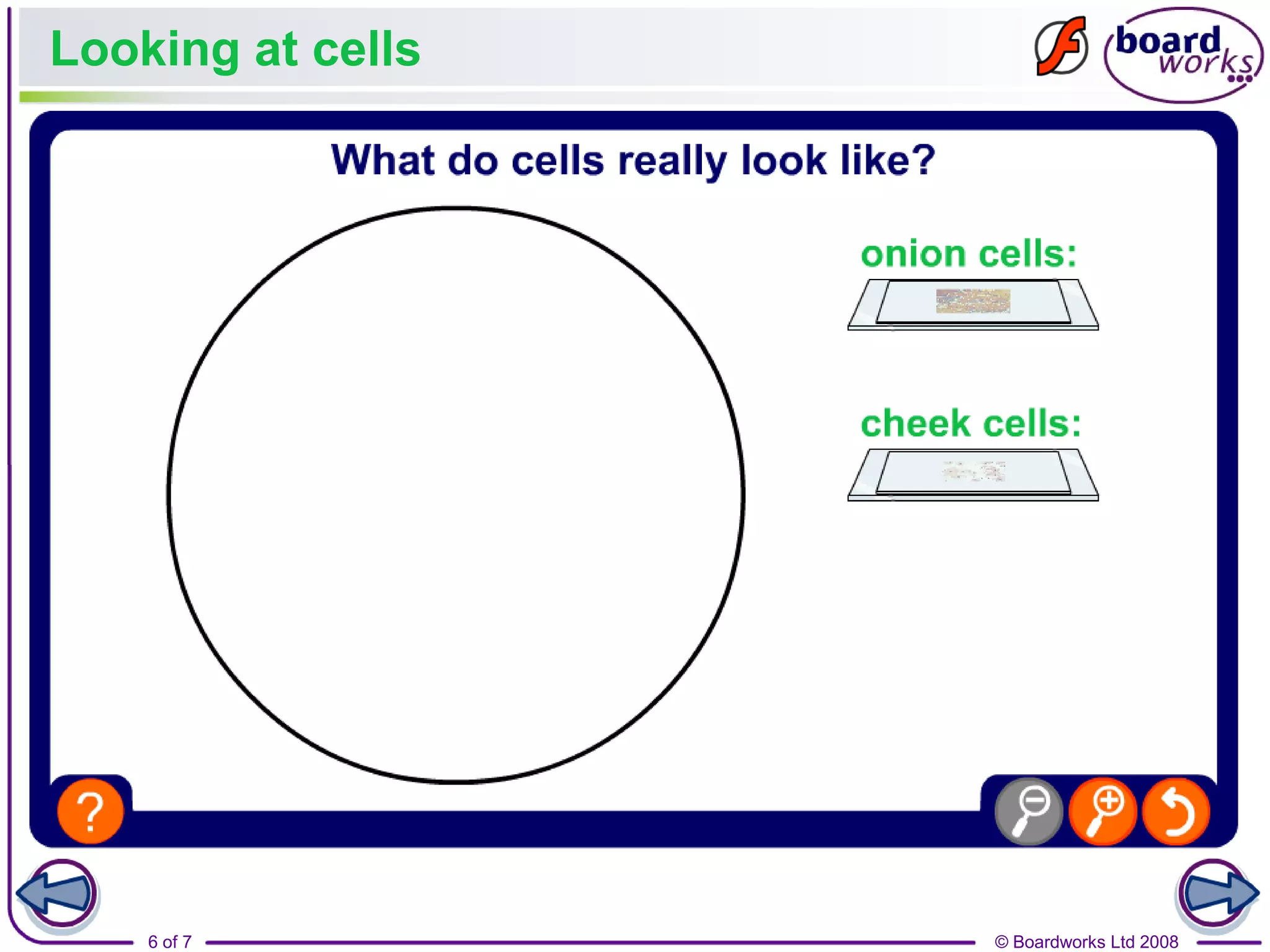 Cells | PPT