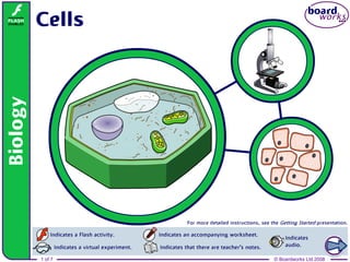 Cells | PPT