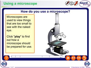 Cells | PPT | Free Download