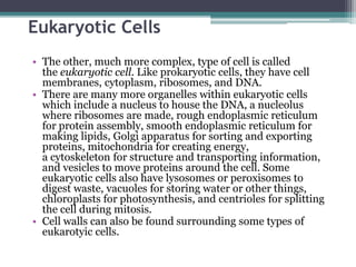 Cells | PPTX