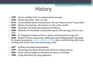 Cells | PPTX