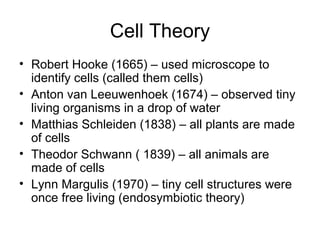 Cells | PPT