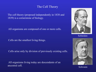 Cells | PPT