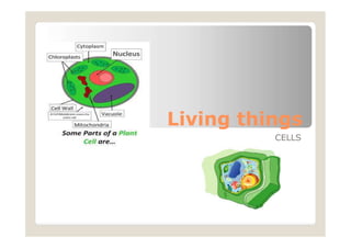 Cells | PPT